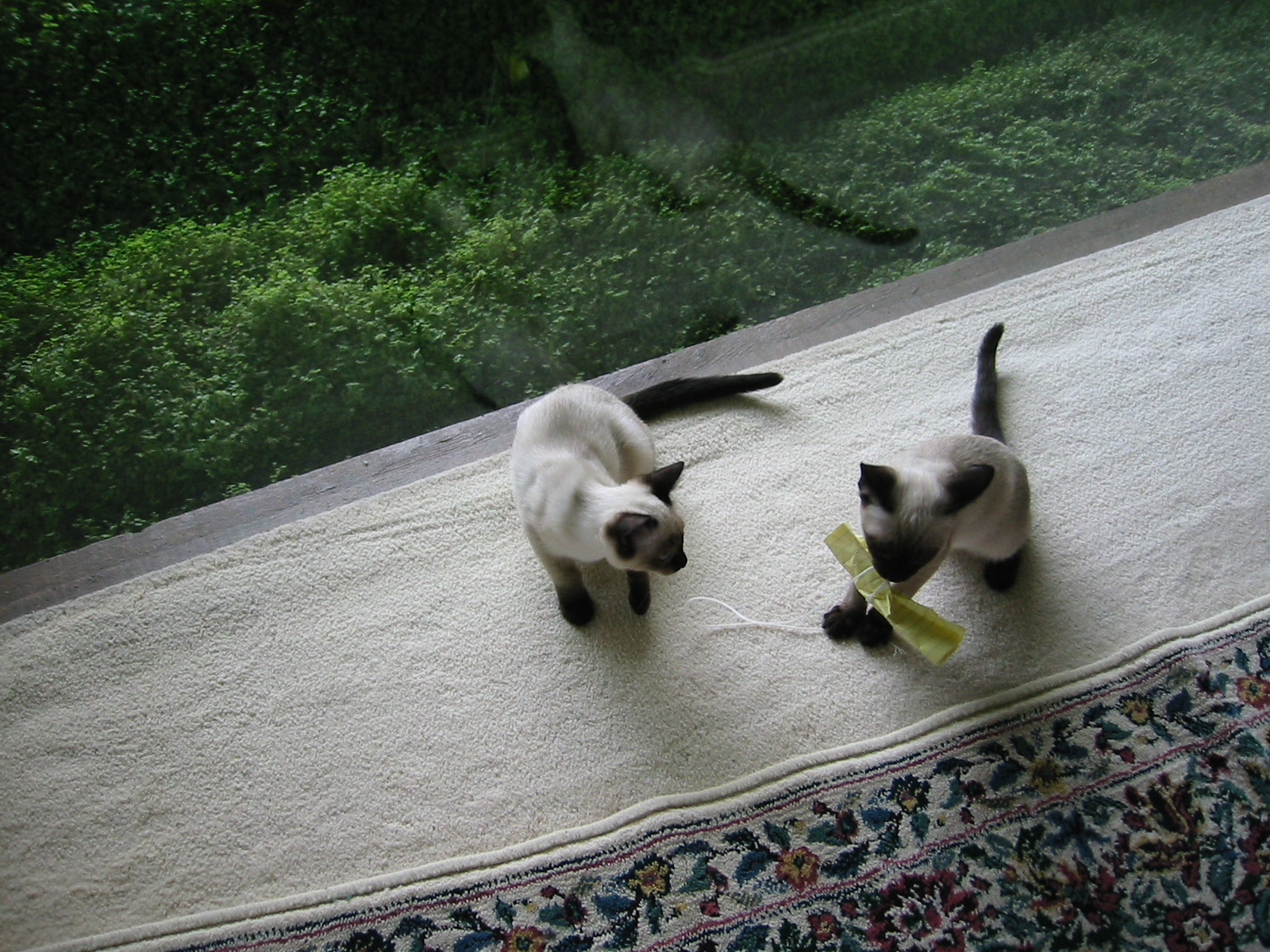 Fan Chung Graham's Photo Page