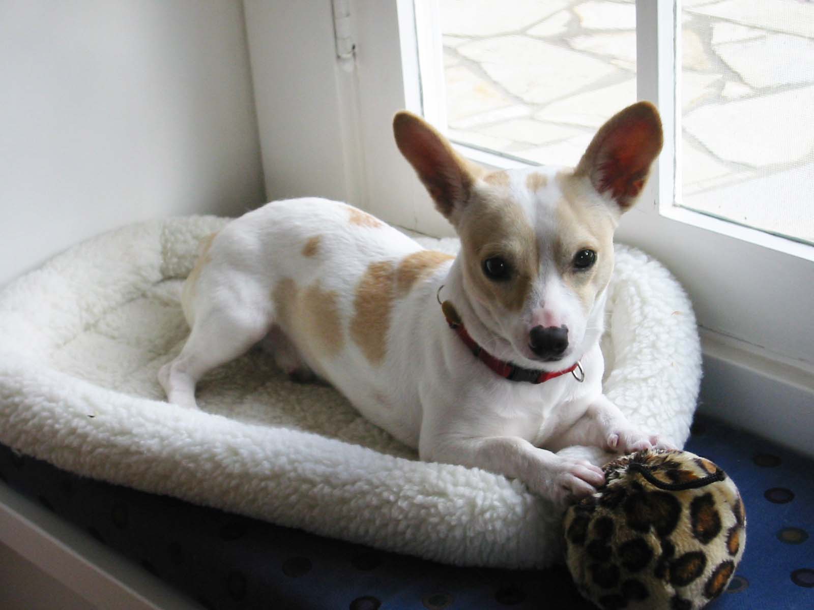 Fan Chung Graham's Photo Page